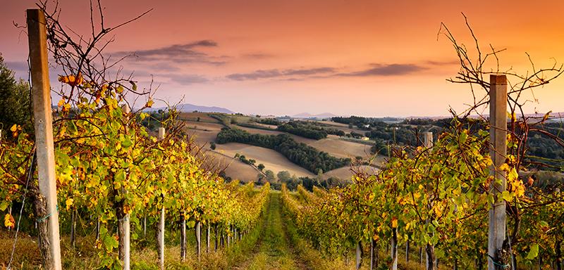 10 Reasons to Visit Italy in the Fall | Supermarket Italy