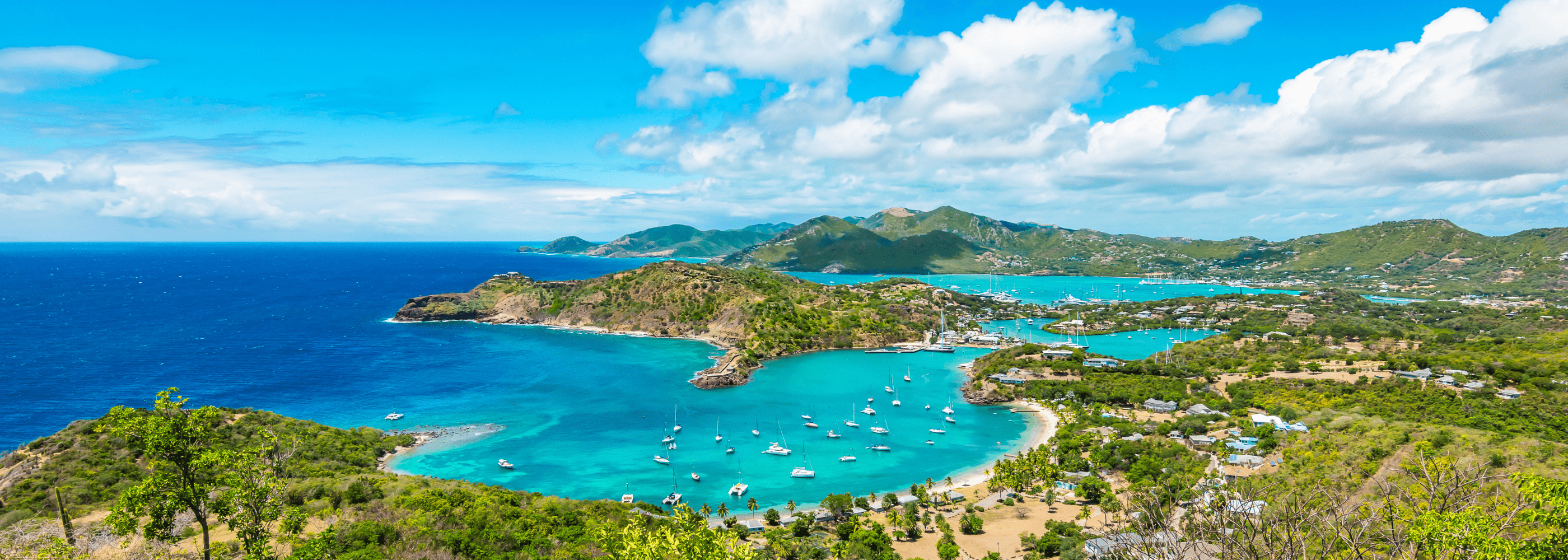 25-50 - Caribbean | Shop by Origin | Supermarket Italy